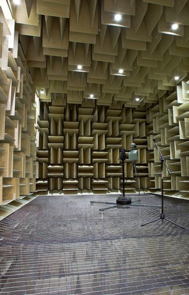 What It`s Like Inside the Quietest Room