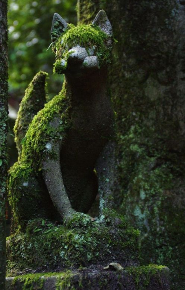 Animals With Moss Growing on Them